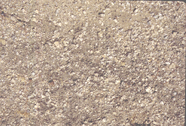 Joshua Tree National Park